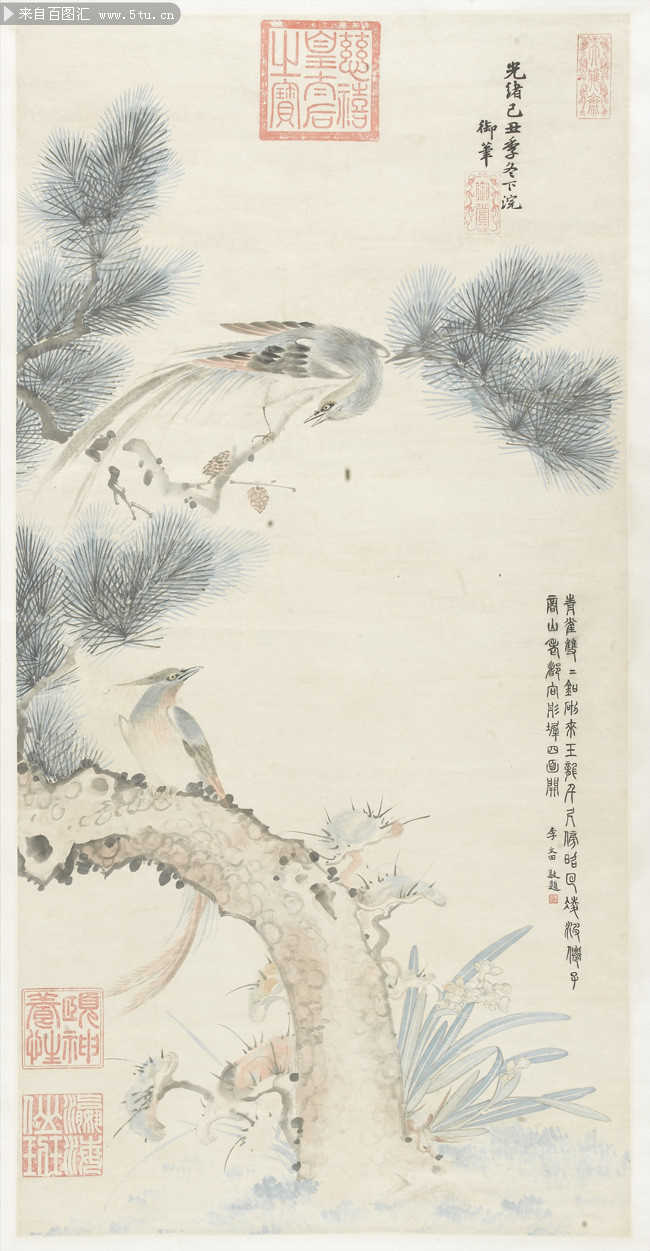 松树 鸟 清 光绪 国画花鸟-高清图片-百图汇设计素材